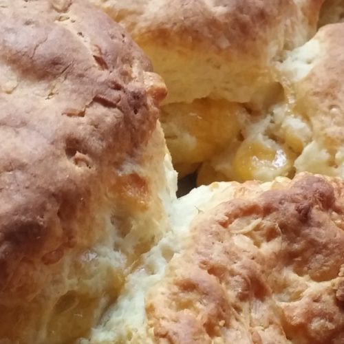 Paper Plate Chef – Paper Plate Chef