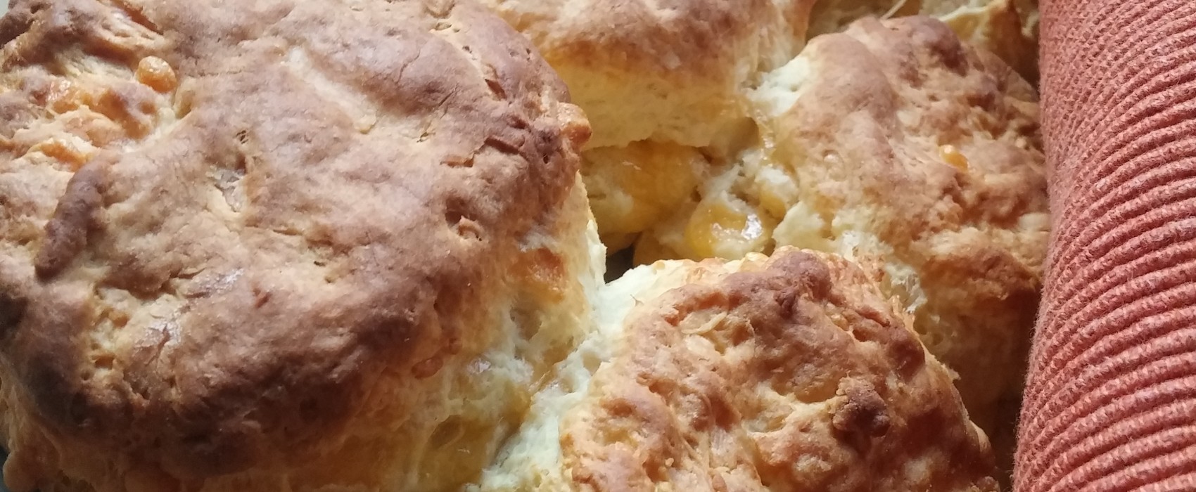 Paper Plate Chef – Paper Plate Chef